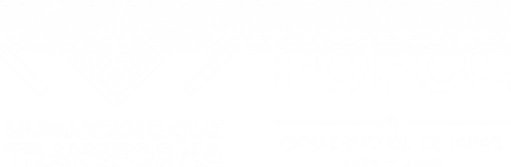 Directorio FOFOE Secretaría de Economía y del Trabajo